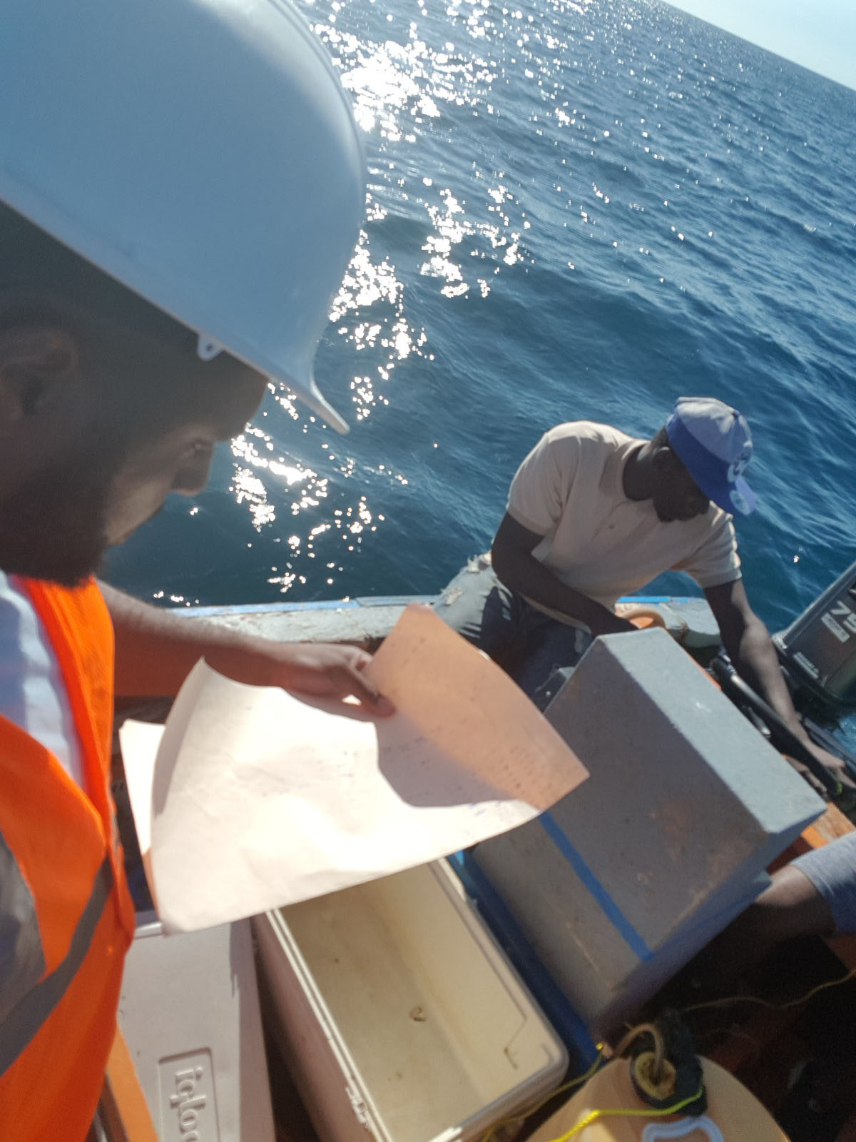 Corisav Inc | ENGINEERING